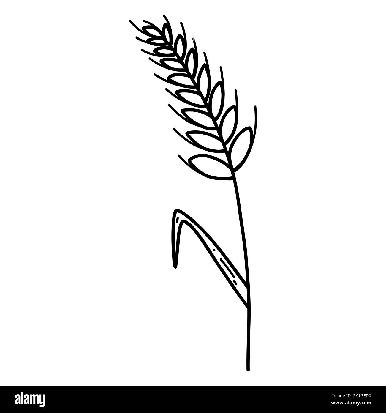 Ear pro Black and White Stock Photos & Images - Alamy