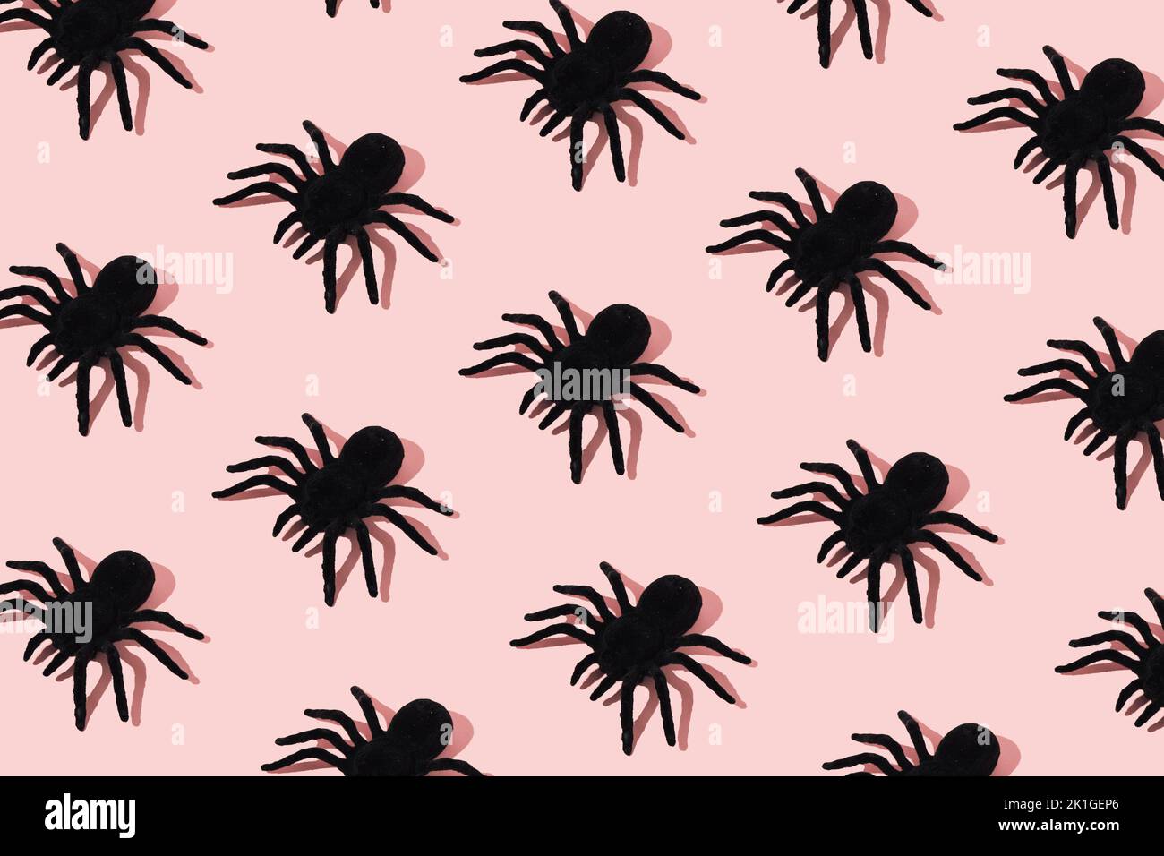 Black spider pattern on pink background. Minimal Halloween concept ...