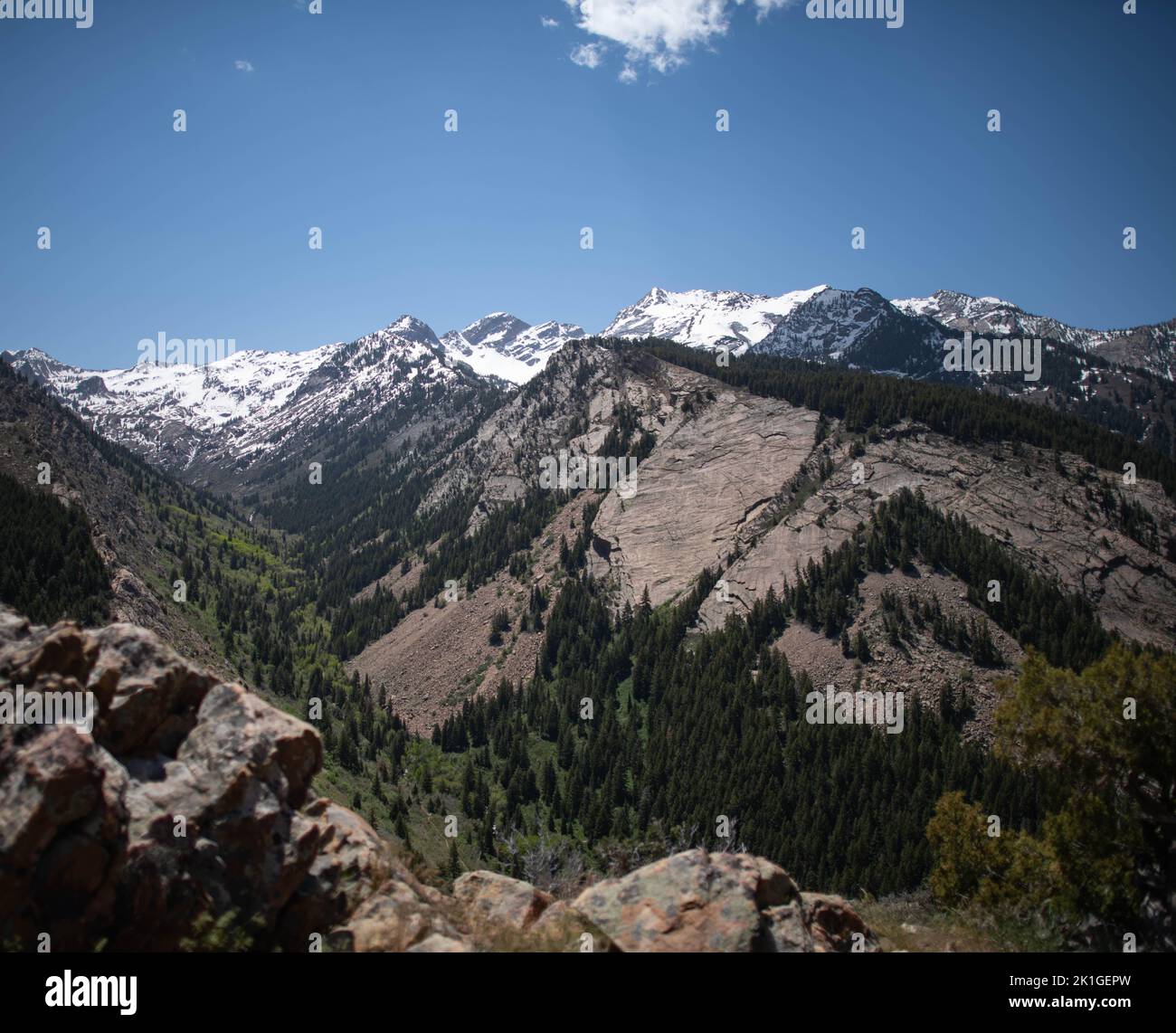 A scenic landscape with hills, snowy mountains, forests and a blue sky ...