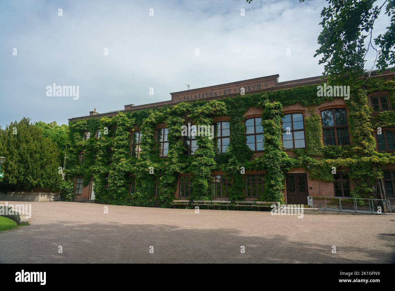 The Lund University Music Centre with its walls covered in green leaves ...