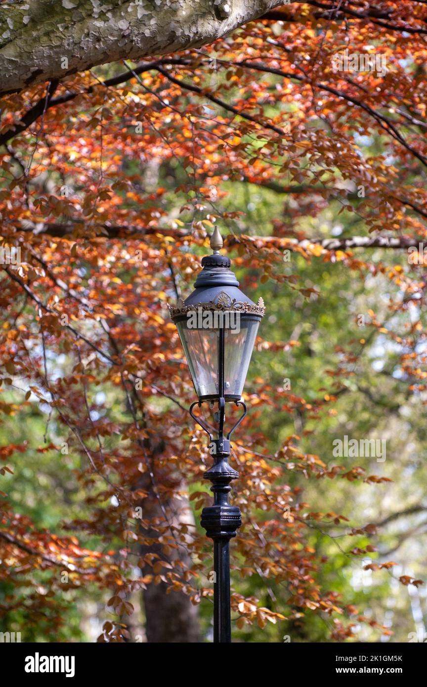 Lamps in autumn Stock Photo - Alamy