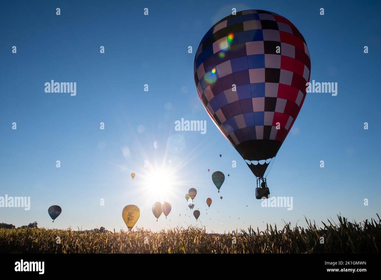 Hot air balloons seen in the sky during the 24th FAI World Hot Air ...