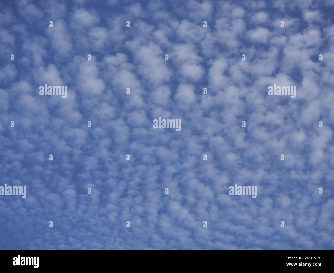 Blue sky background with clouds. Curly clouds all over the sky Stock ...