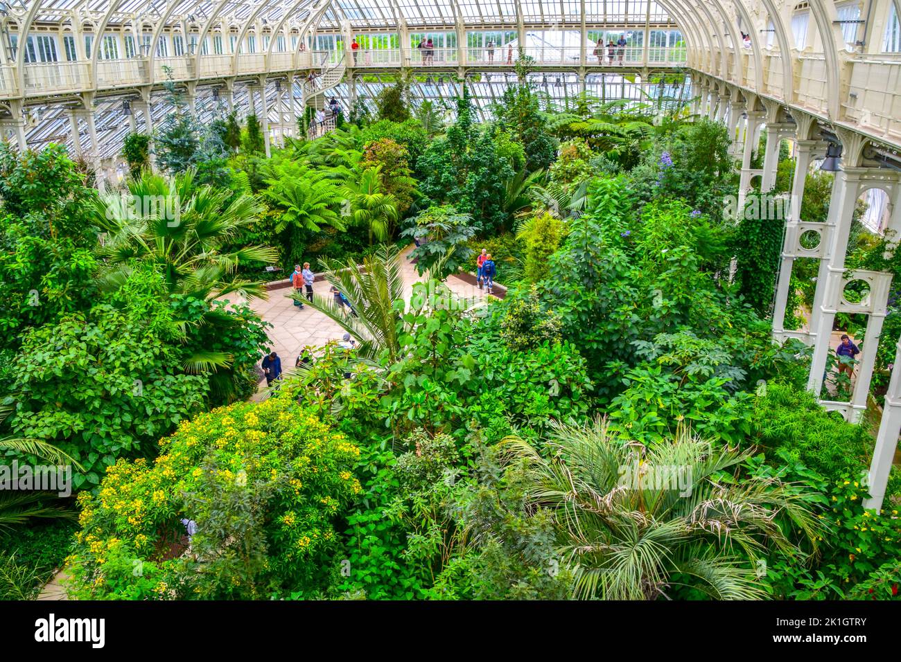 Inside kew greenhouse hi-res stock photography and images - Alamy
