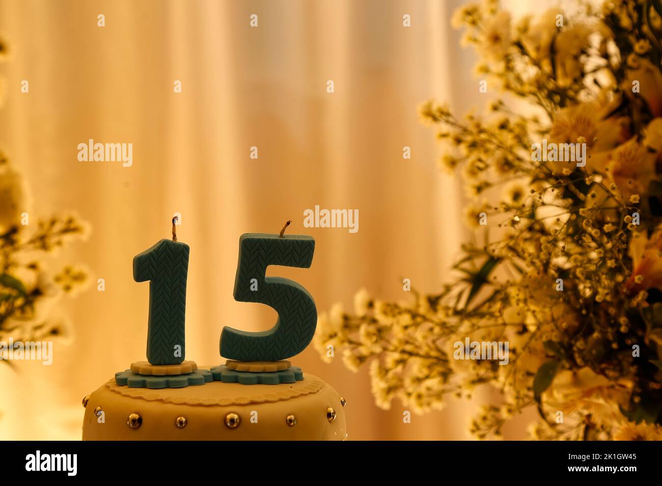 Blue party cake, 15th birthday, with blue number fifteen, white cake ...