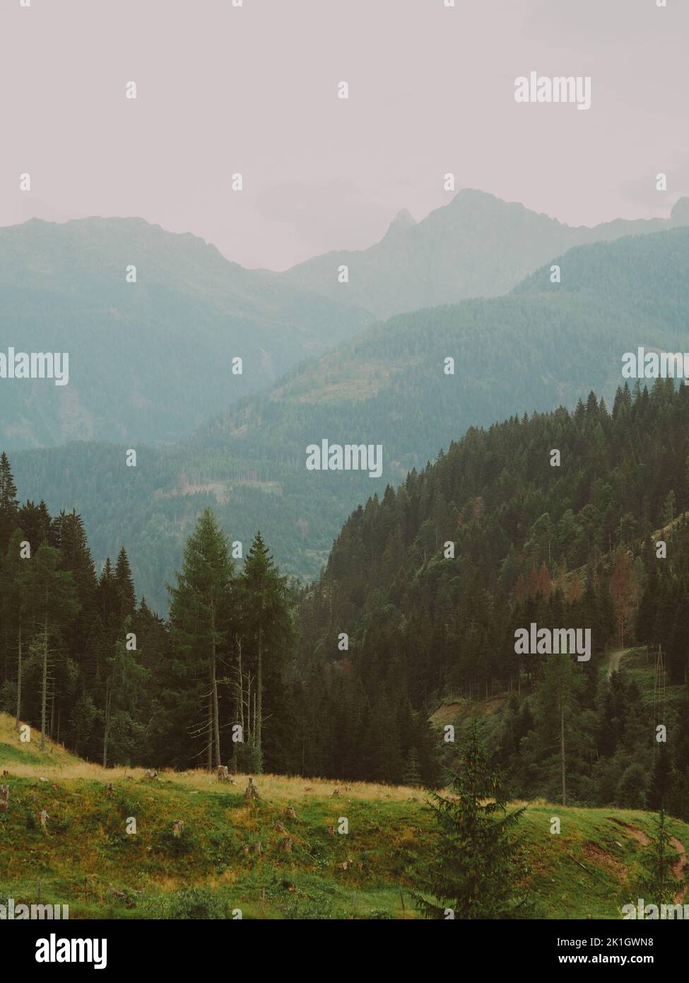 A vertical shot of a beautiful nature scenery of hills and forests ...