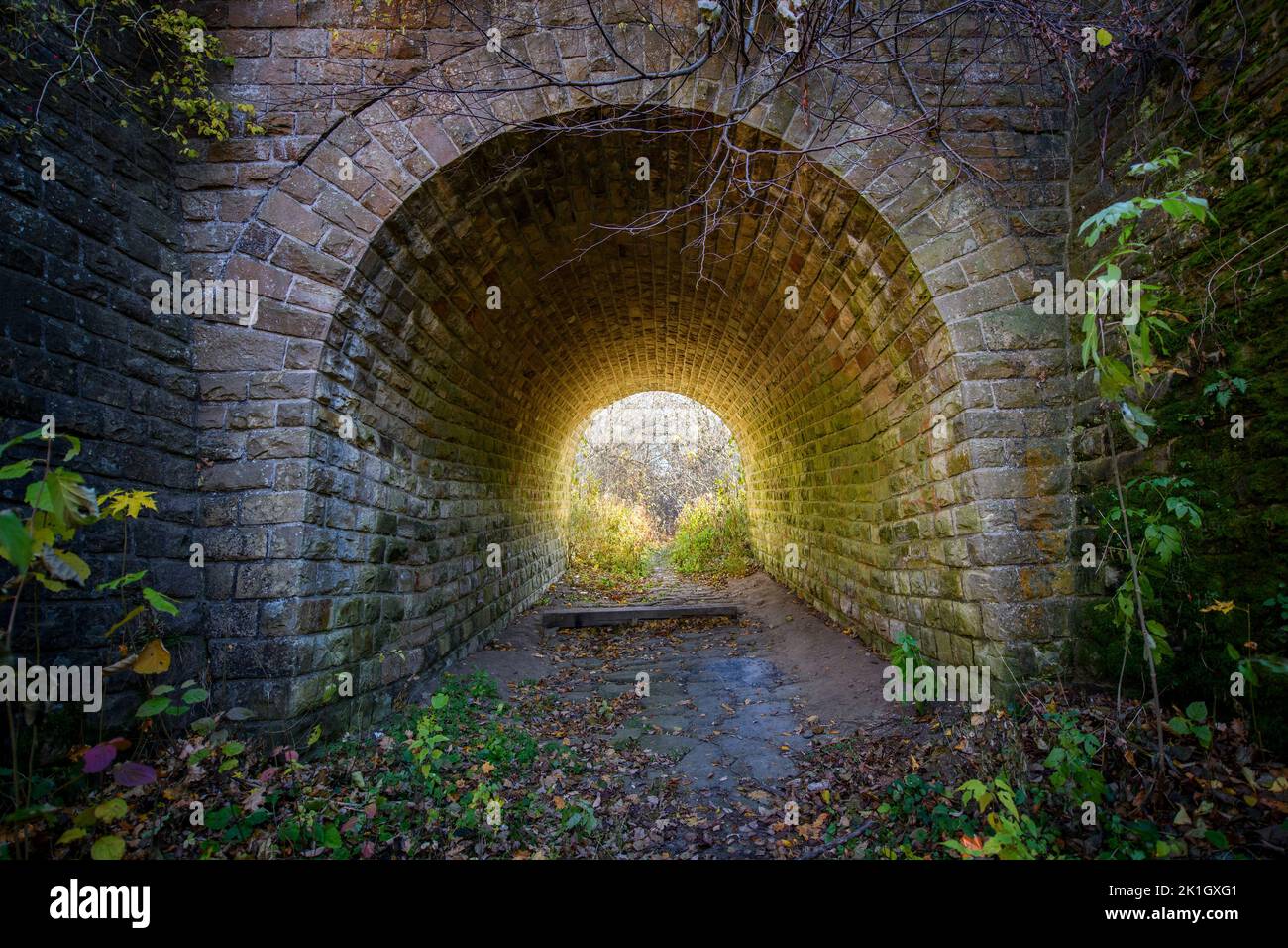 Mystery small stone tunnel in the autumn forest Stock Photo - Alamy