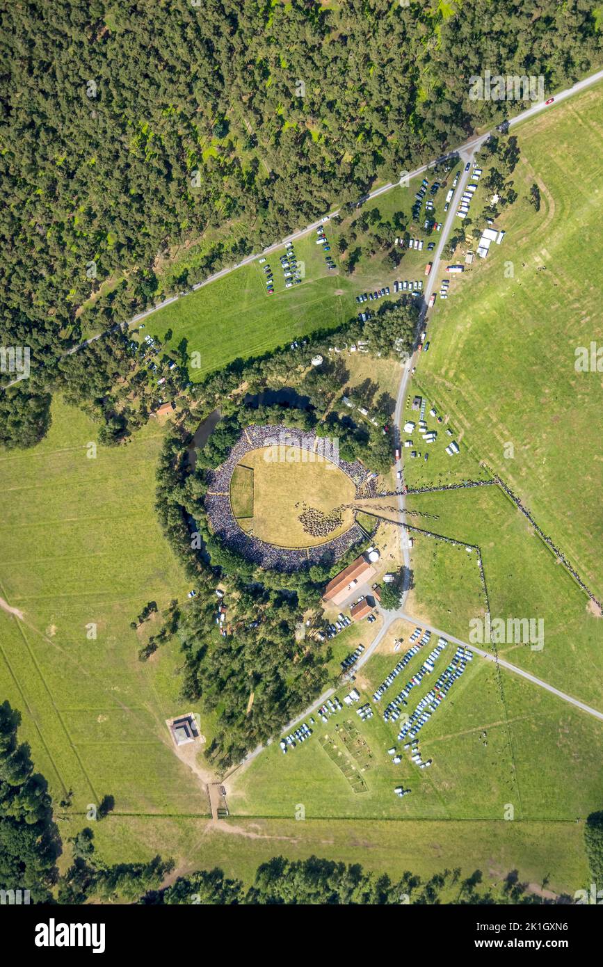 Aerial view, wild horse catch in Merfelder Bruch near Dülmen, arena of ...