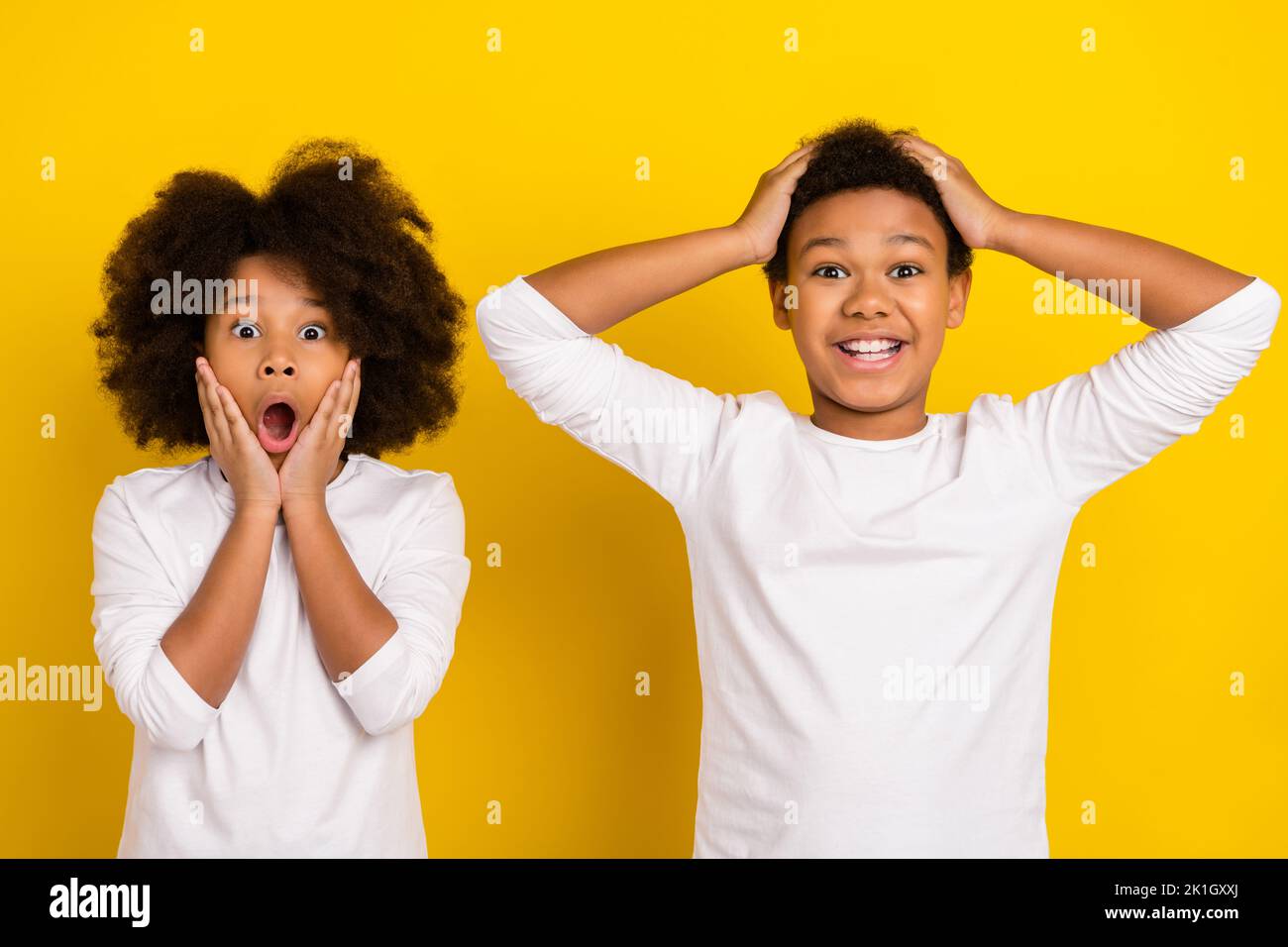 Portrait of astonished crazy pupils hands cheeks head open mouth ...