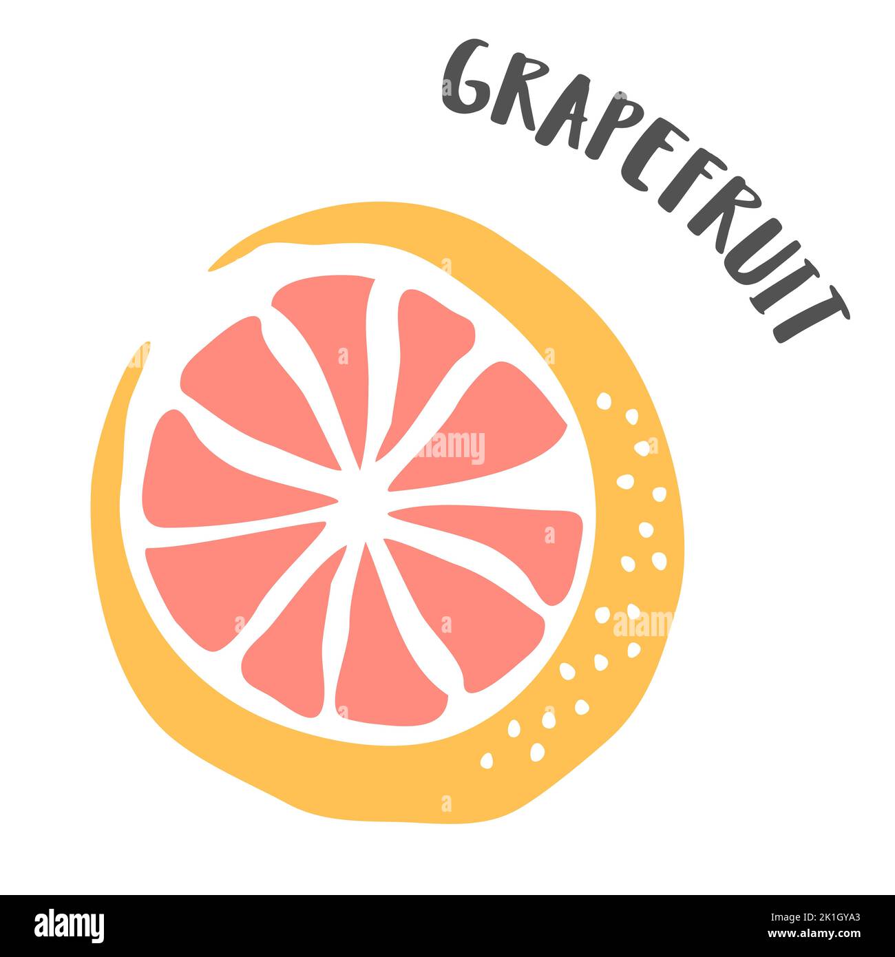 Grapefruit drawing hand painted with ink brush isolated on white ...