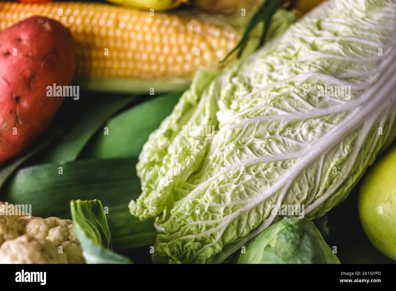 Regrow cabbage hi-res stock photography and images - Alamy