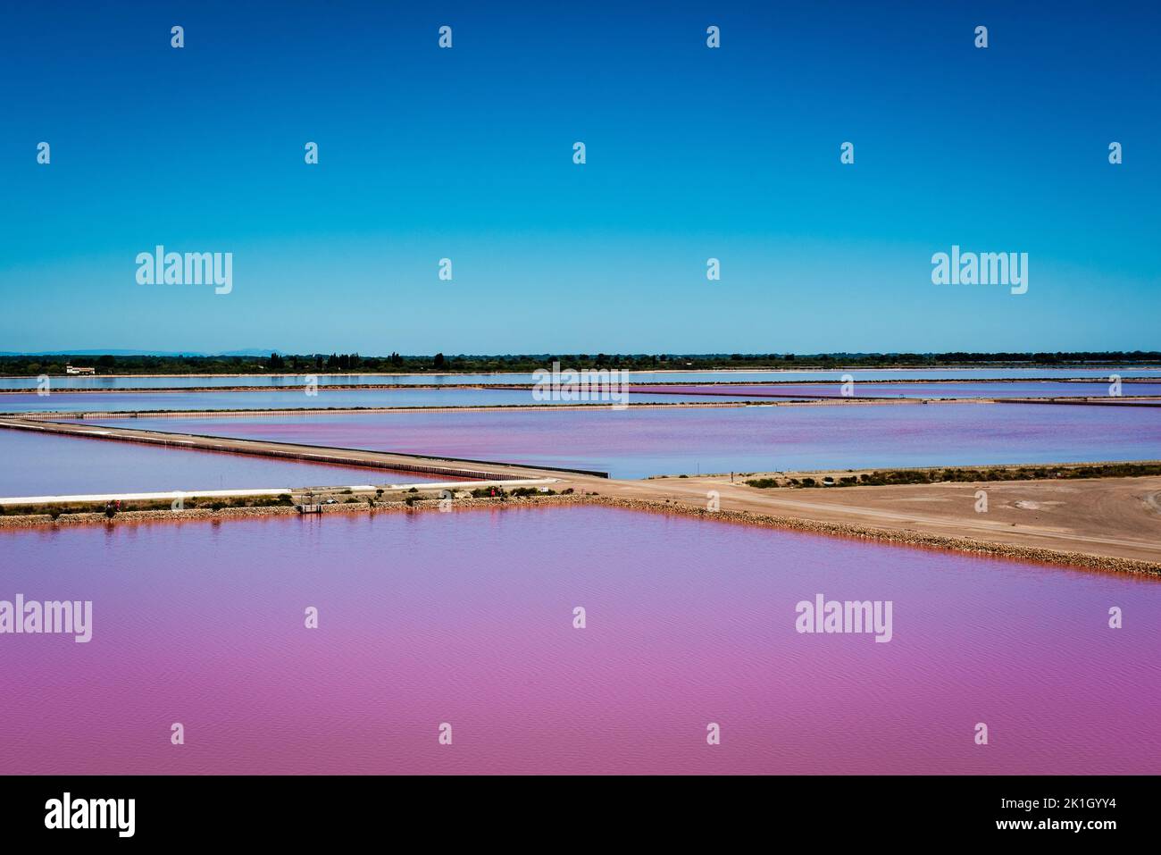 Pink salt marsh near Aigue Morte in Camargue Stock Photo - Alamy