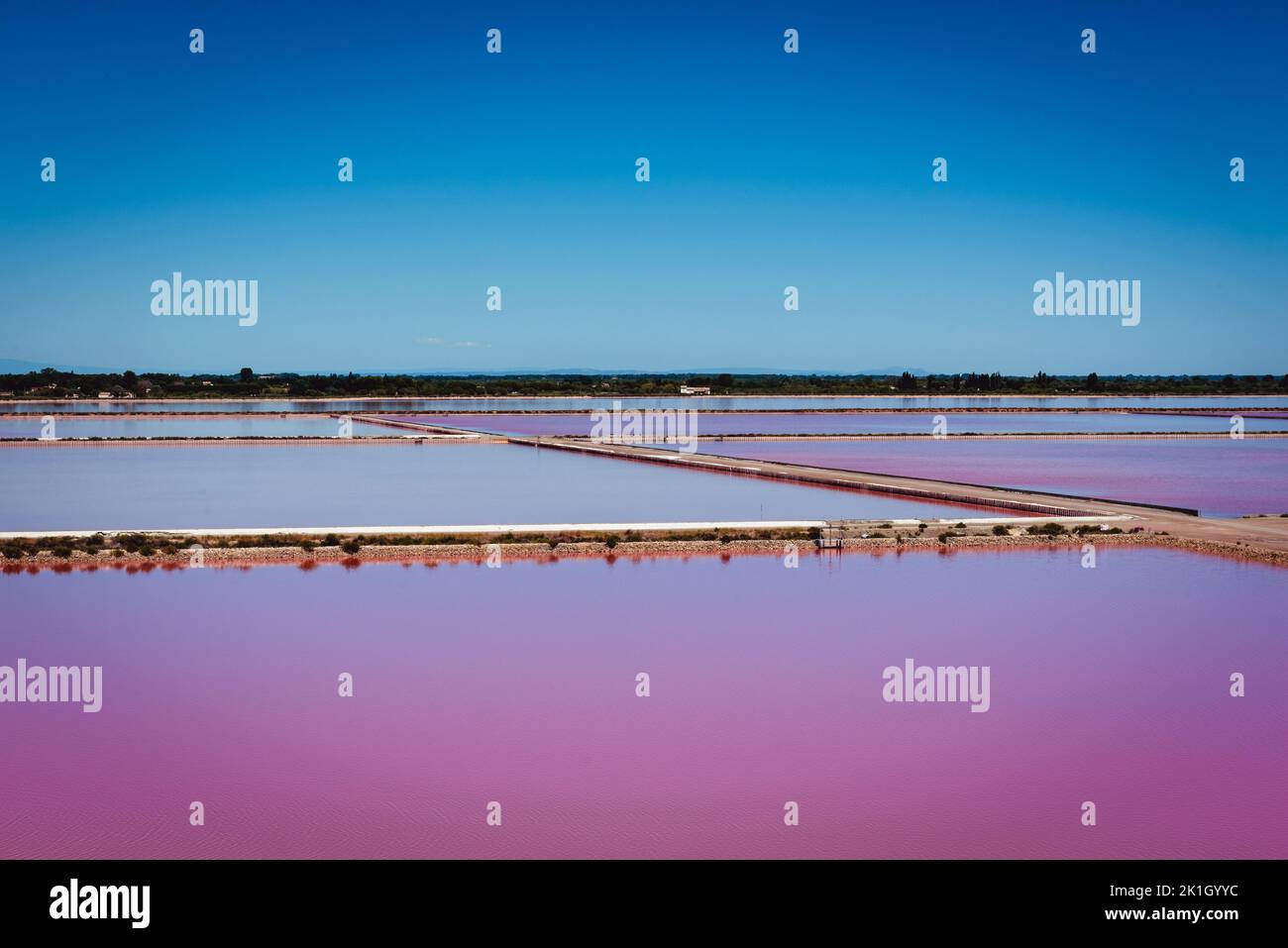 Typical colors of Camargue's pink salt marsh Stock Photo - Alamy