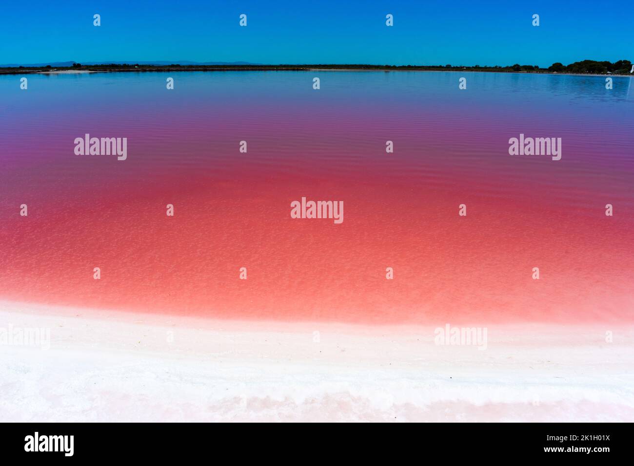 Salt beach near a pink lake Stock Photo - Alamy