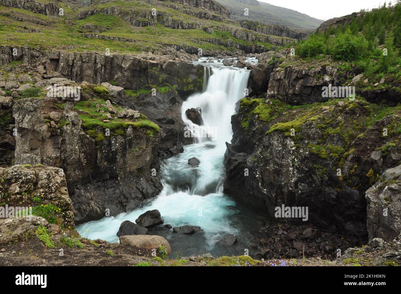 A Scenic view of a waterfall flowing between grass cliffs Stock Photo ...