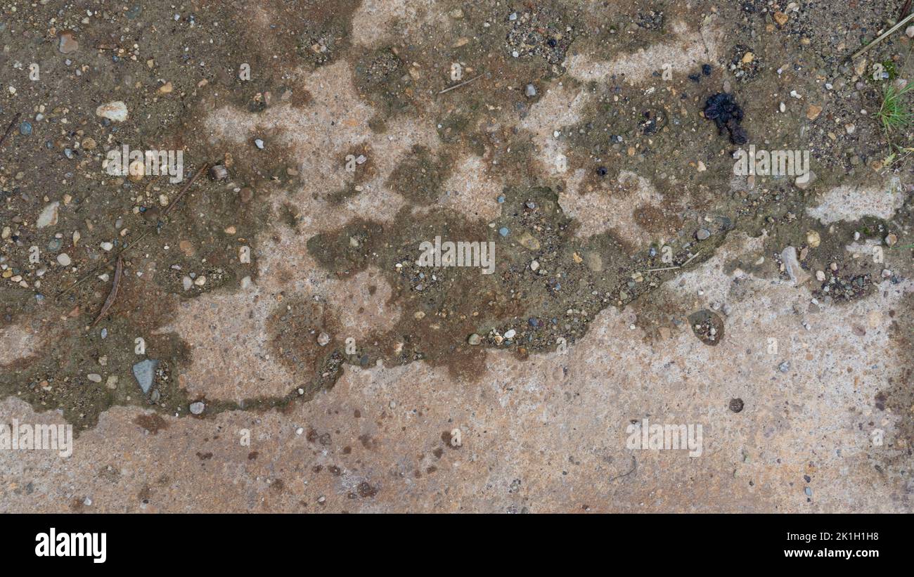 Texture of concrete. The background is gray close with concrete ...