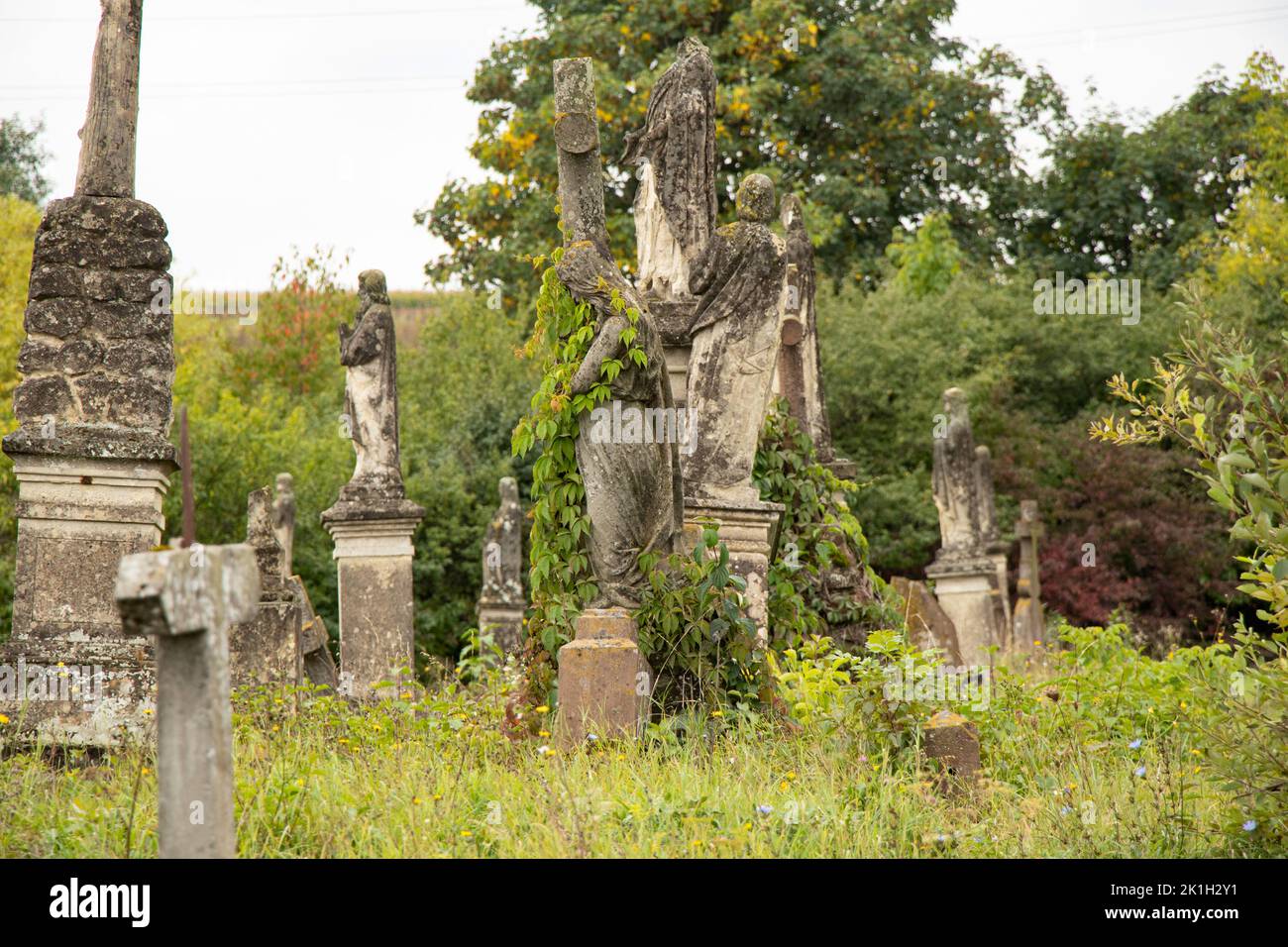 Old cemetery of Polish Jews in Ukraine. Ancient abandoned graves ...