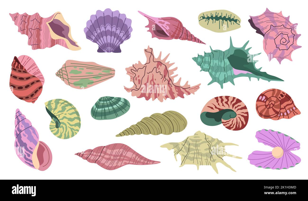 Tropical seashell. Beach color shells, underwater mineral elements ...