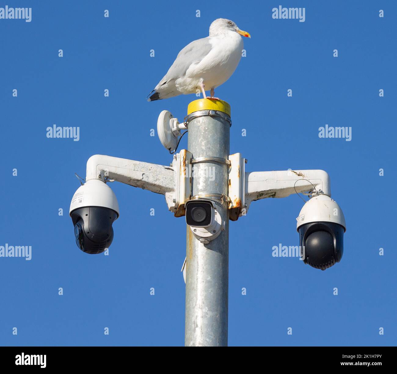 Cctv security tower hi-res stock photography and images - Alamy