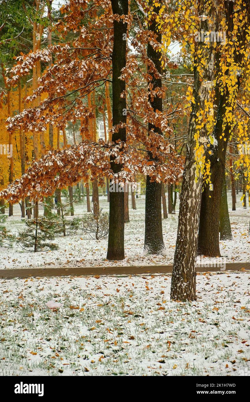 Autumn Landscape. Park in Autumn. The first snow Stock Photo - Alamy