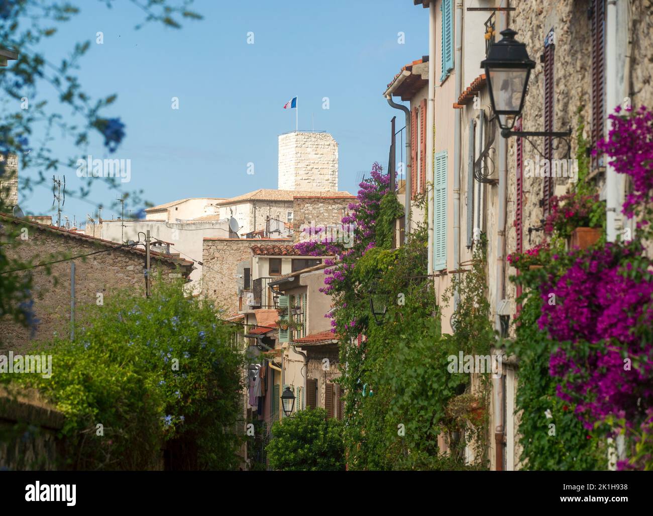 Grimaldi castle tower in Antibes city center from a flowered narrow ...