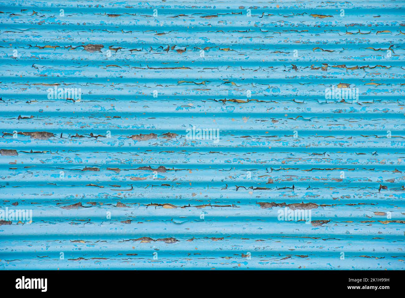 A texture of a metal surface with a weathered blue paint for the ...