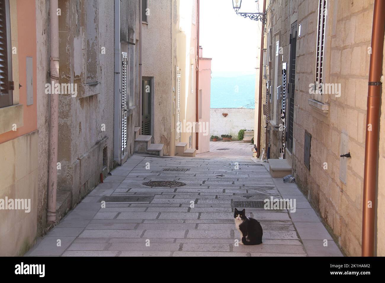 Castro, Italy. A cat is sitting on a narrow alley in the Old Town Stock ...
