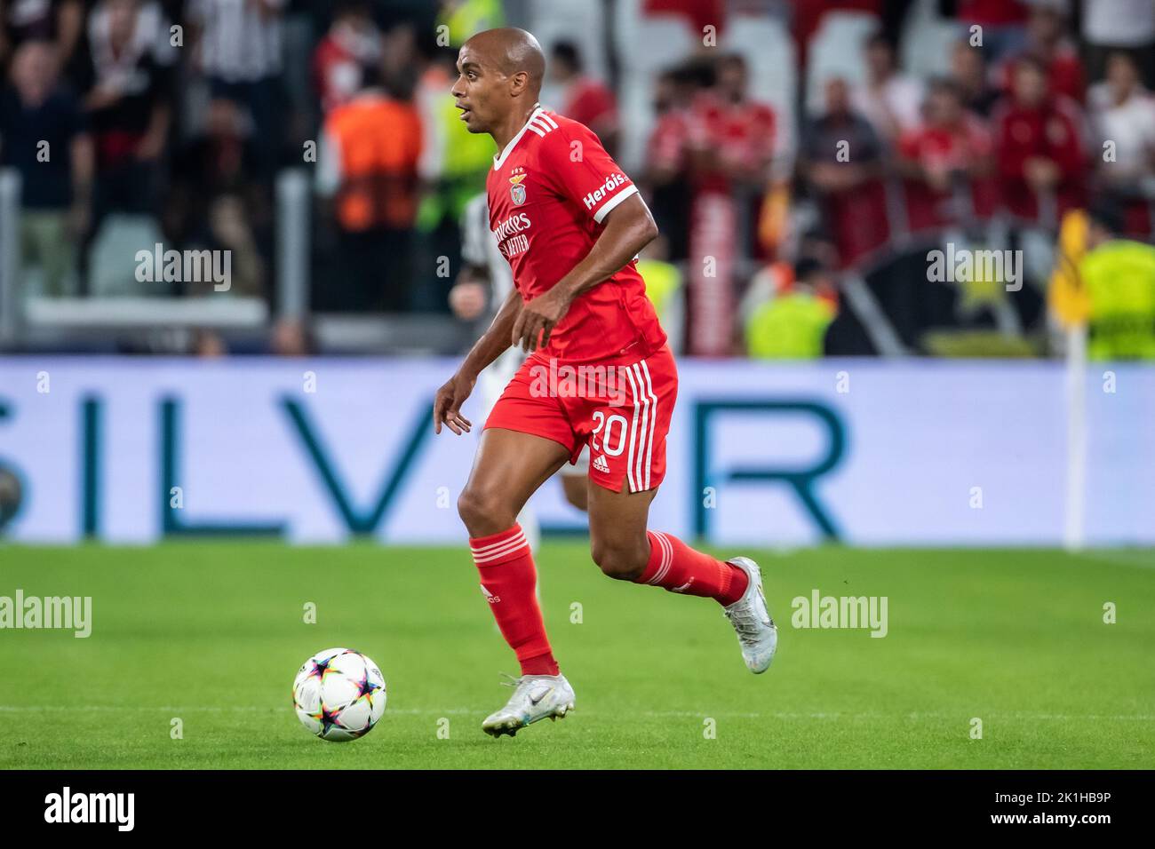 Joao mario benfica 2022 hi-res stock photography and images - Alamy