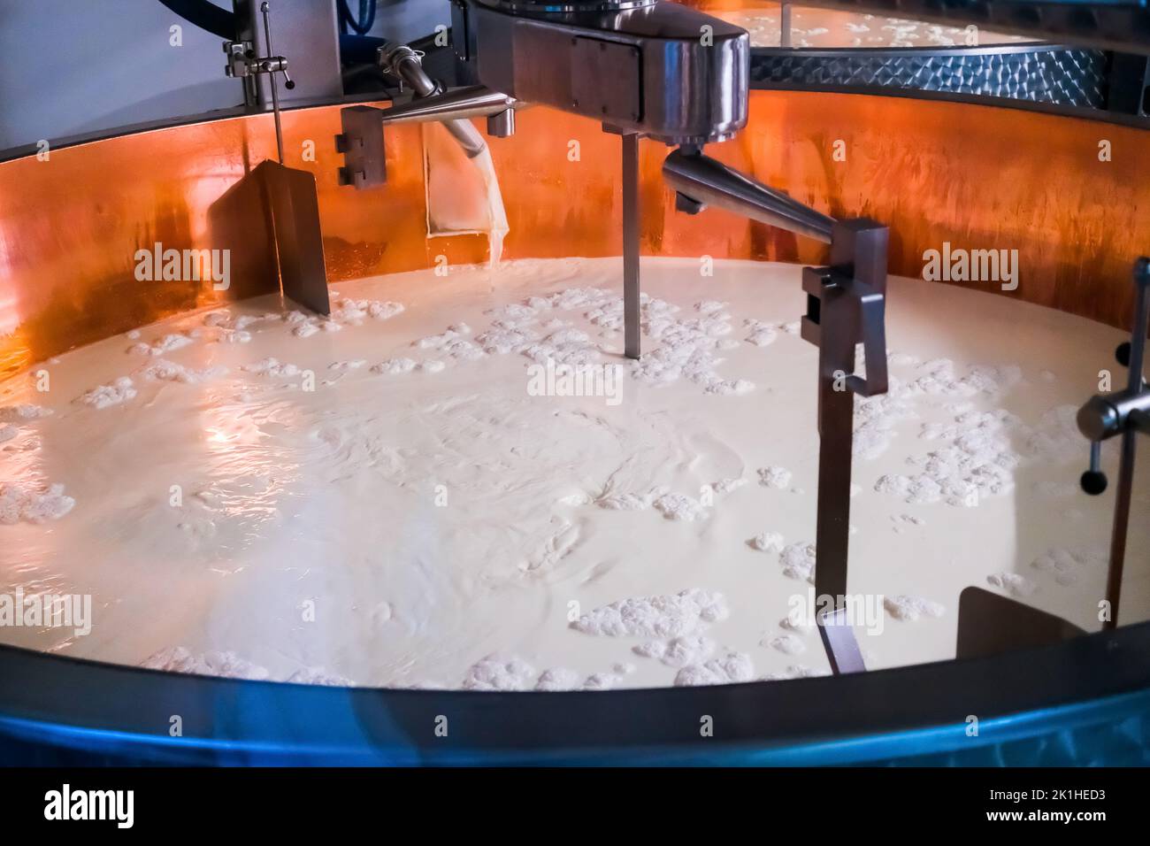 Vats with milk to make cheese and by-products such as whey Stock Photo ...