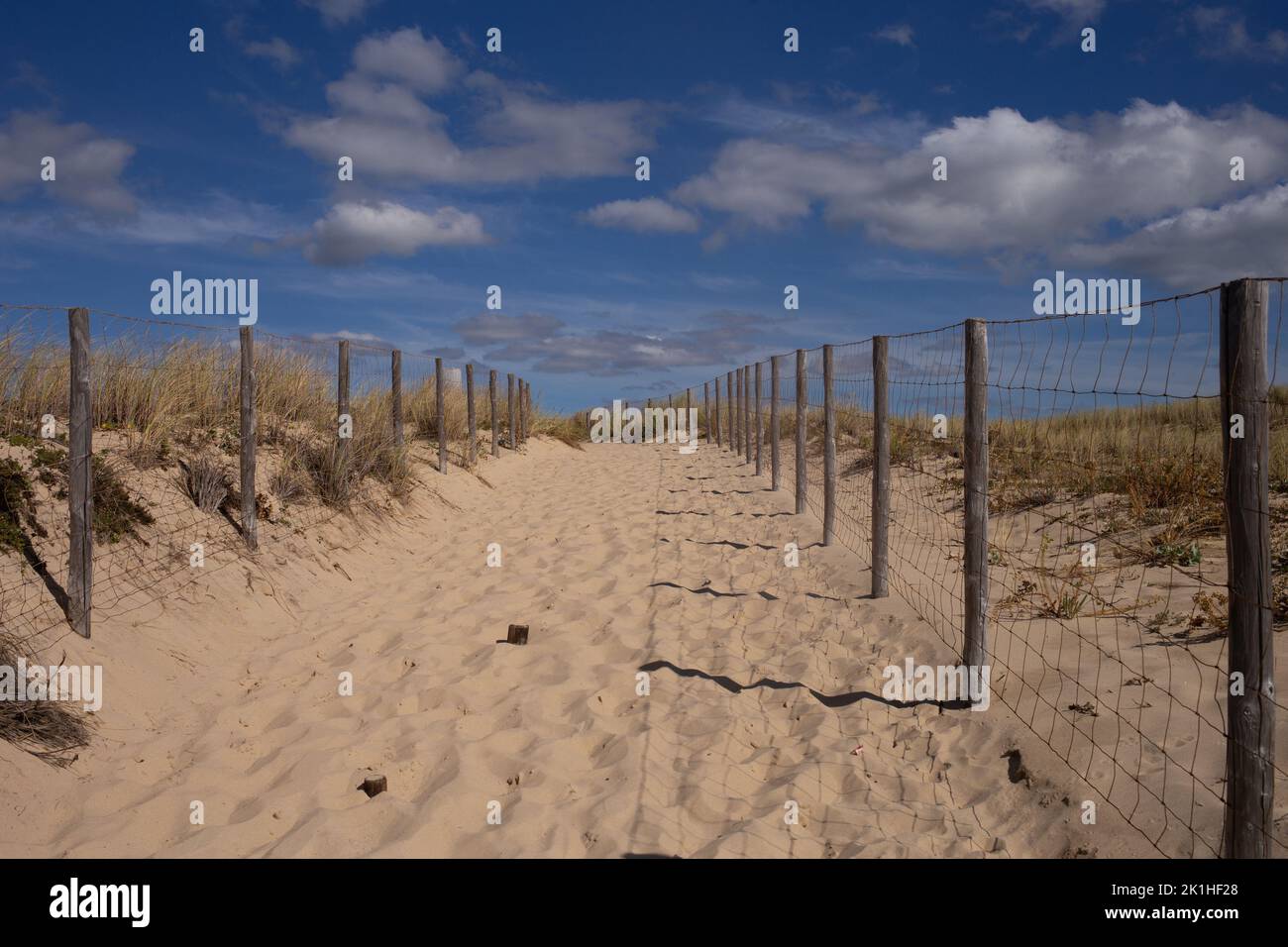 Summer day,sand landscape,wind trails, sand dunes Stock Photo - Alamy