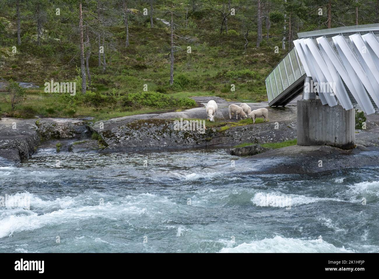Wonderful landscapes in Norway. Vestland. Beautiful scenery of ...