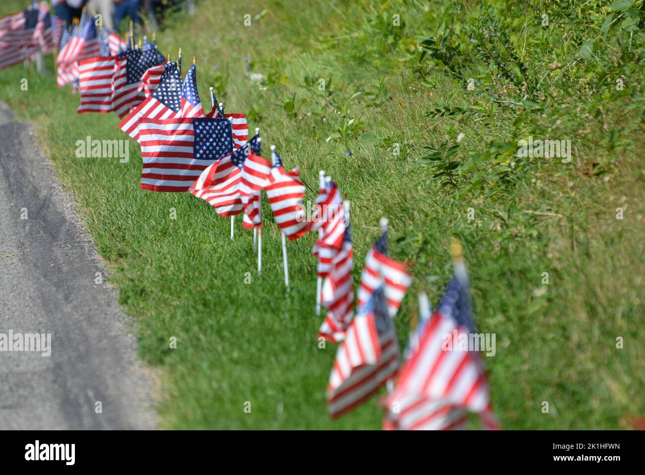 The US flags lining the route of the travelling Vietnam wall Stock ...
