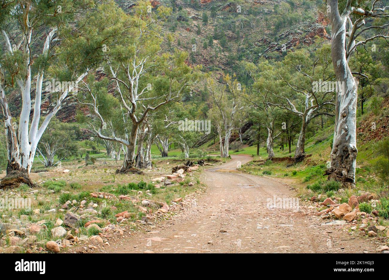Flinders ranges hi-res stock photography and images - Alamy