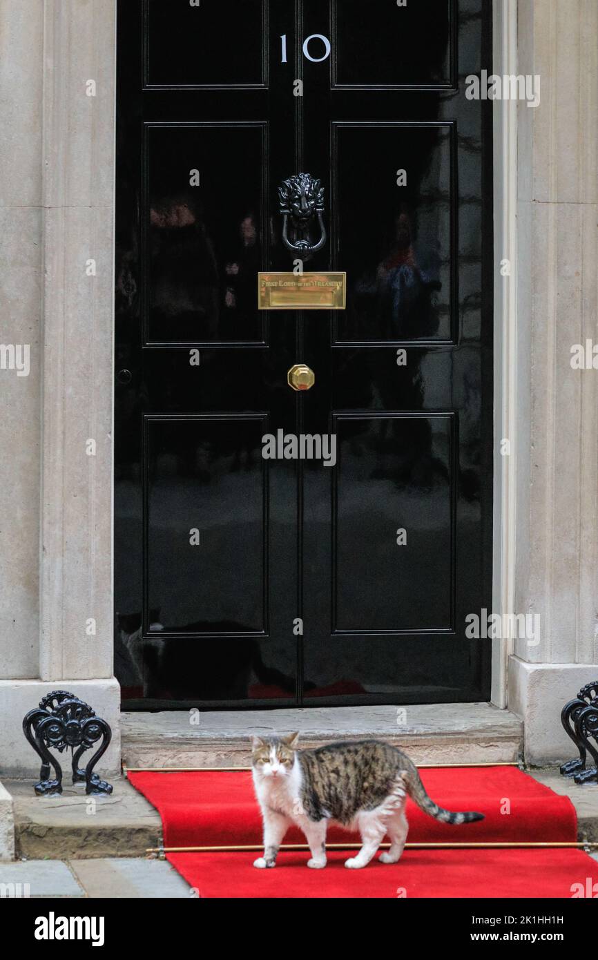 London, UK. 18th Sep, 2022. Larry, the Downing Street cat and Chief ...