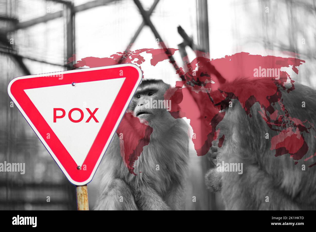 Monkeypox new disease dangerous over the world. Monkeypox virus ...