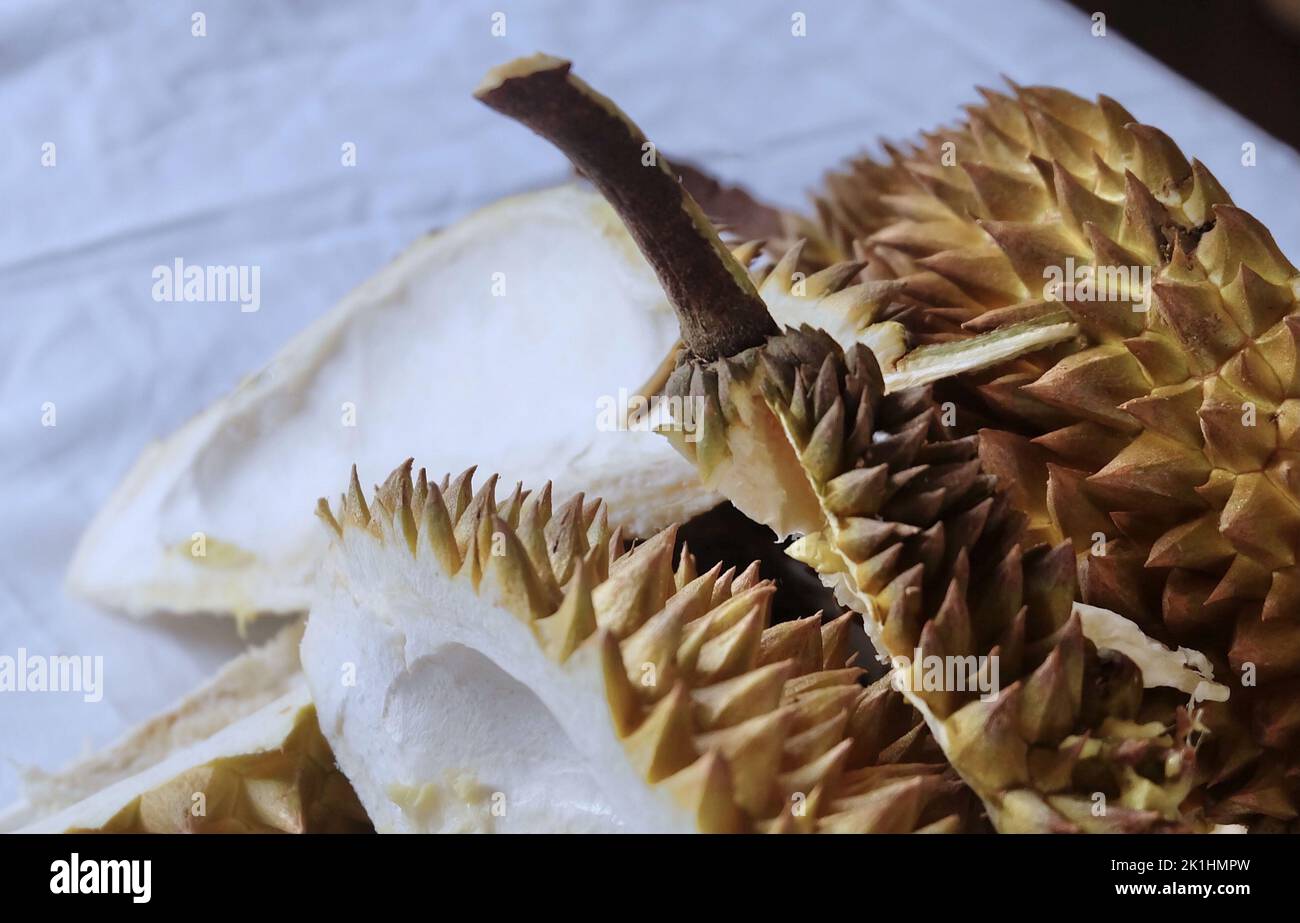 Close Up of Empty Peel of Durian Fruit. Durian is One of The Most ...