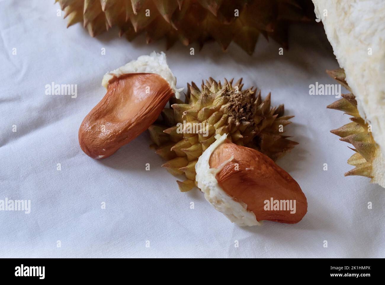 Empty Peel of Durian Fruit with Seeds. Durian is One of The Most ...