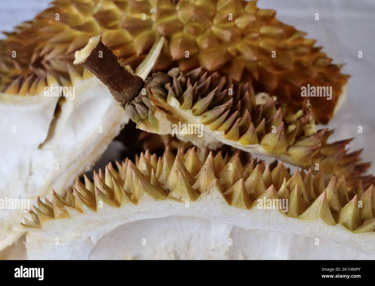 Close Up of Empty Peel of Durian Fruit. Durian is One of The Most ...