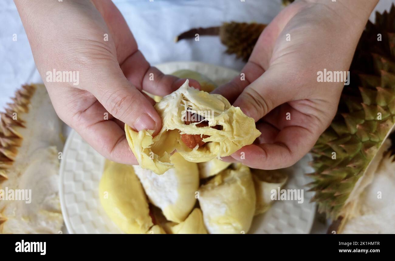 Hand Holding Fresh Ripe Durian. One of The Most Popular Fruits in The ...