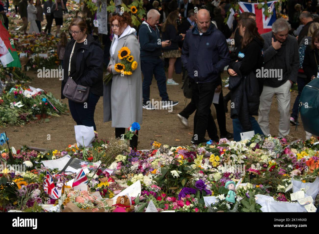 Woman carrying sunflowers looking at the floral tributes laid in Green ...