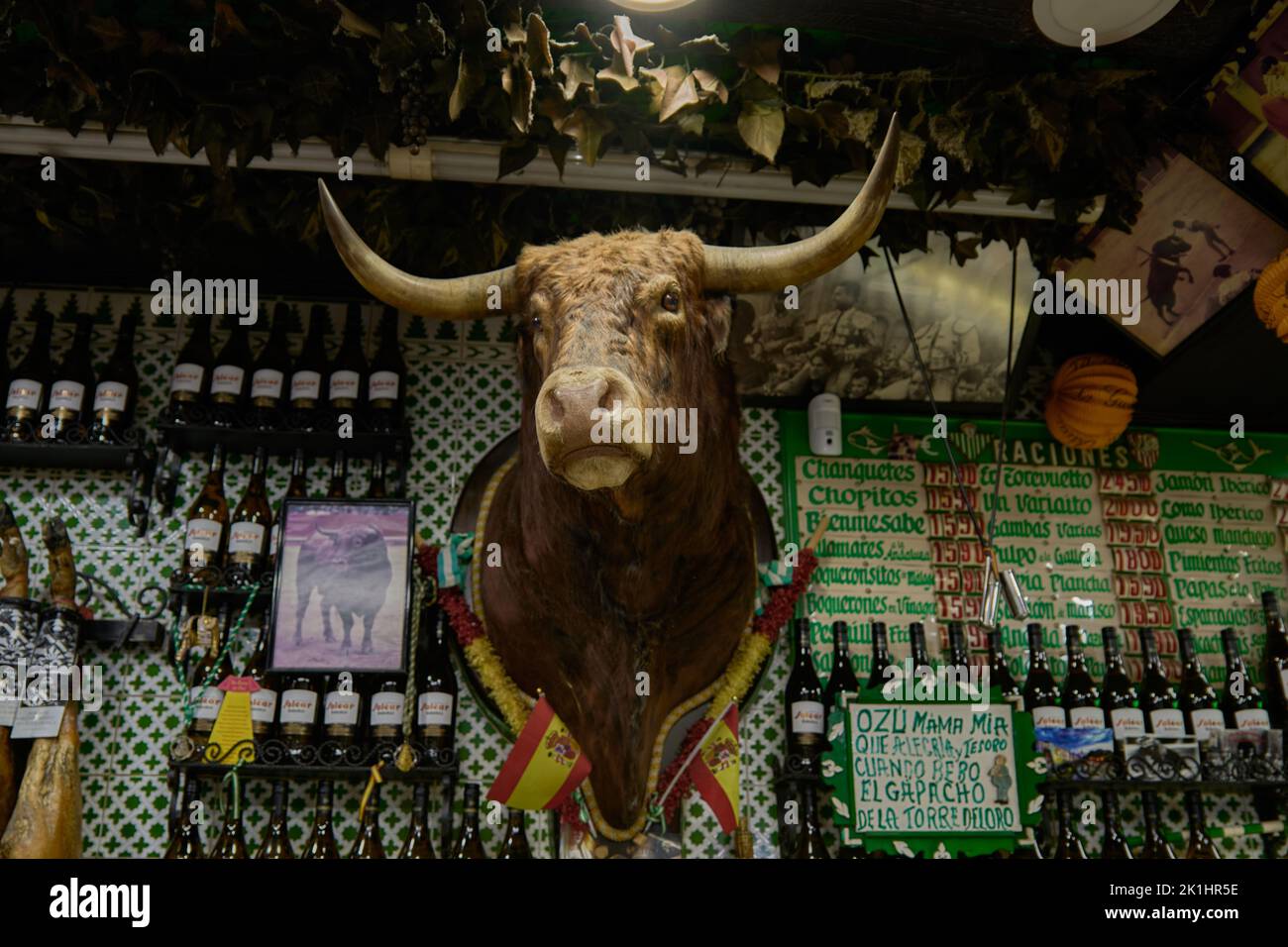 A head of a Spanish fighting bull in a tavern in Madrid with ...