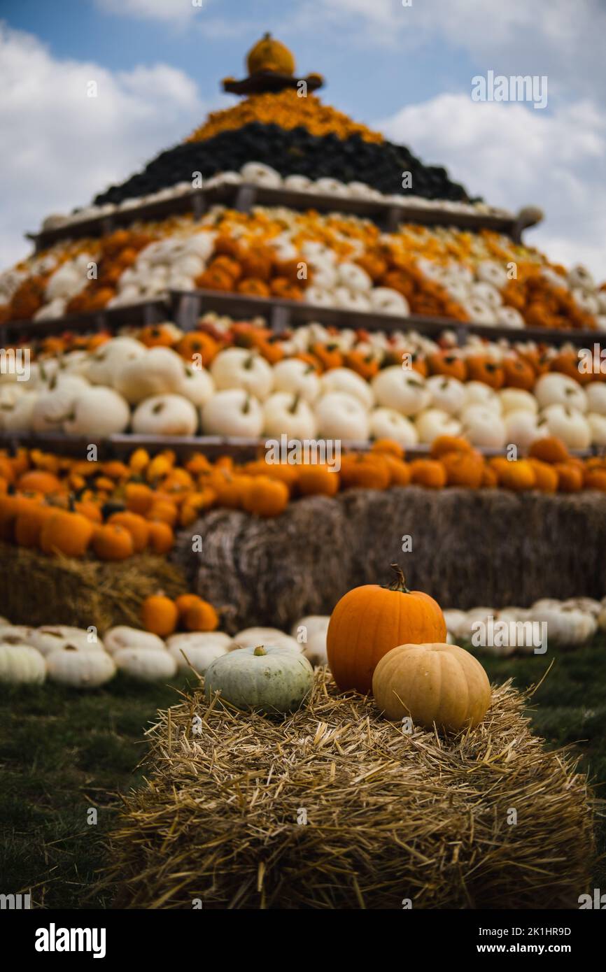 Food pyramid on white hi-res stock photography and images - Alamy