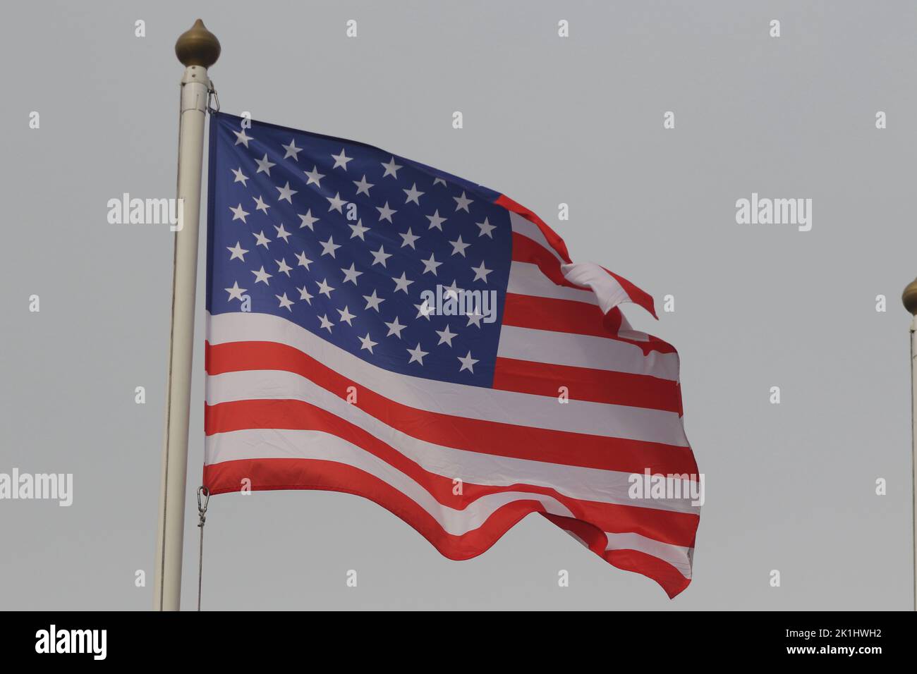 The flag of United States of America seen in the gallery of flags of ...
