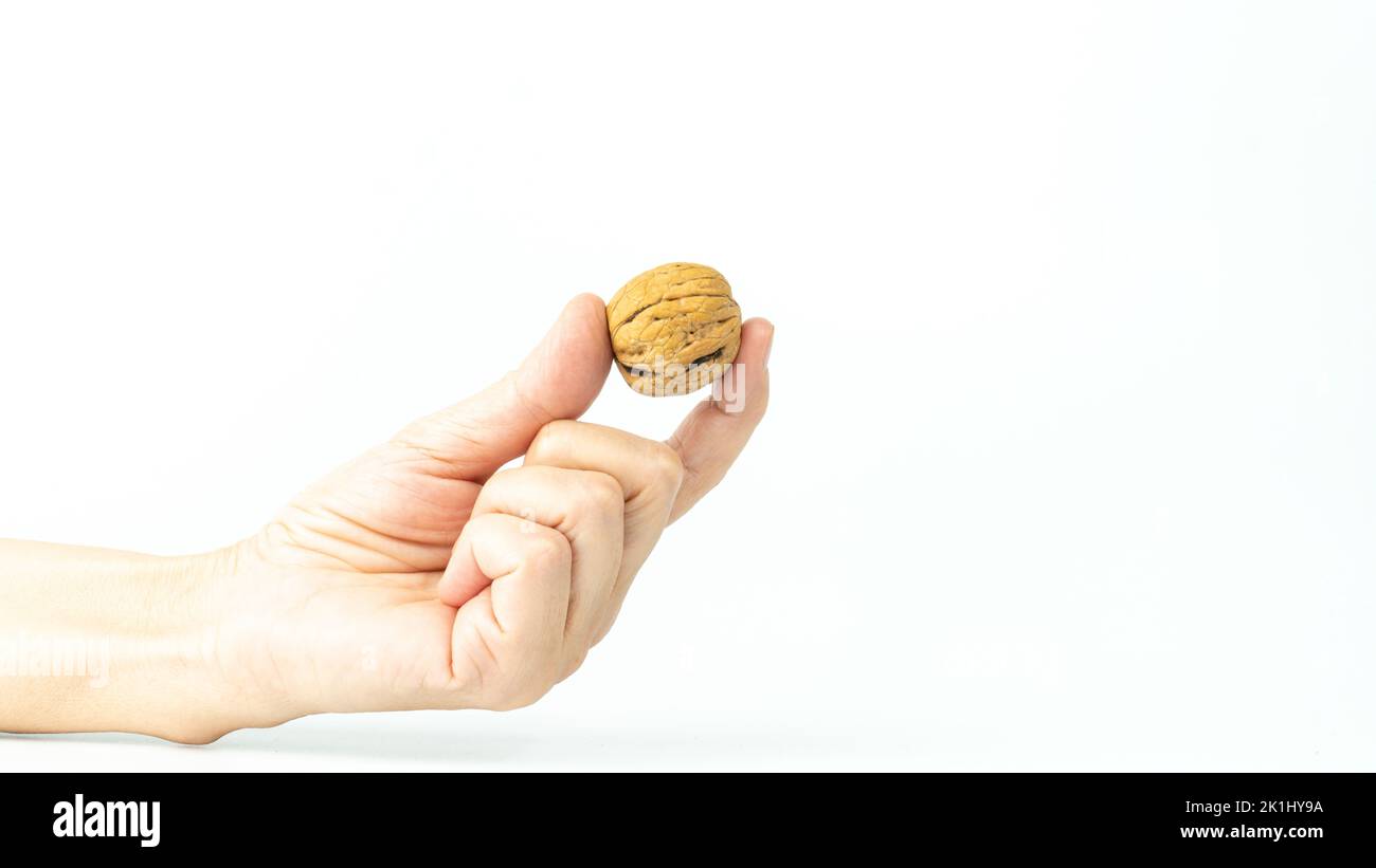Hand holding a walnut isolated on white background. Walnut concept ...