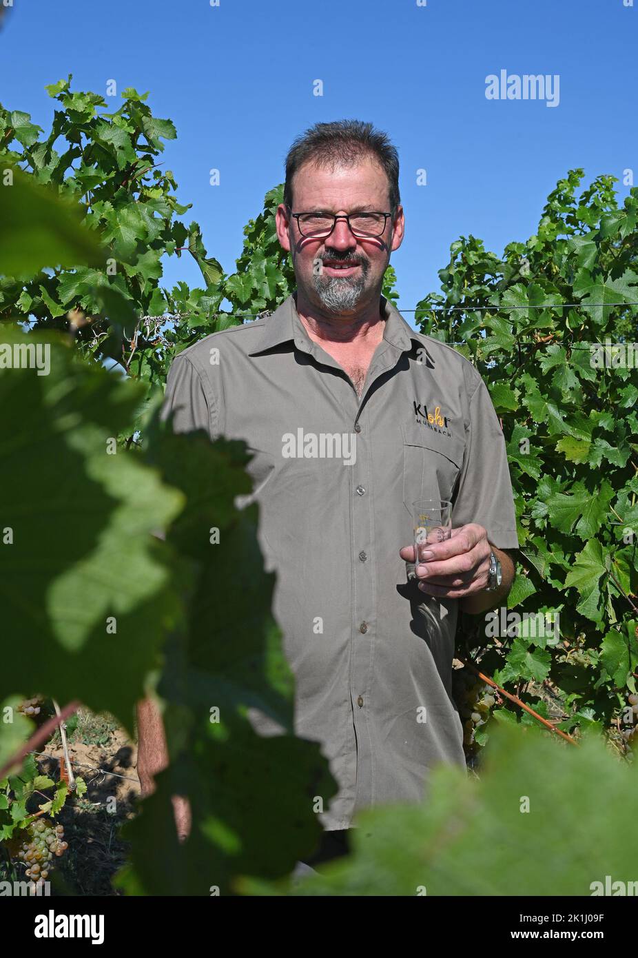 Neustadt, Germany. 02nd Sep, 2022. Vintner Edgar Klohr stands in a ...