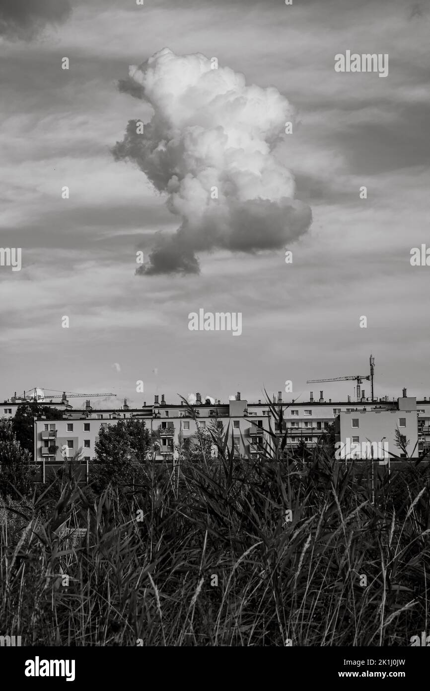 A vertical shot of clouds over buildings, grayscale Stock Photo - Alamy