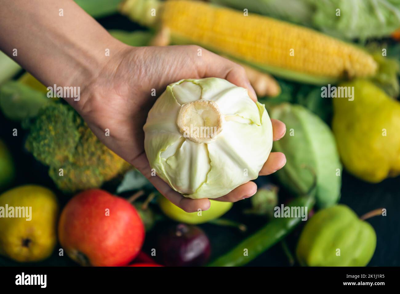 Close-up, cabbage in a woman's hand on the kitchen table among ...