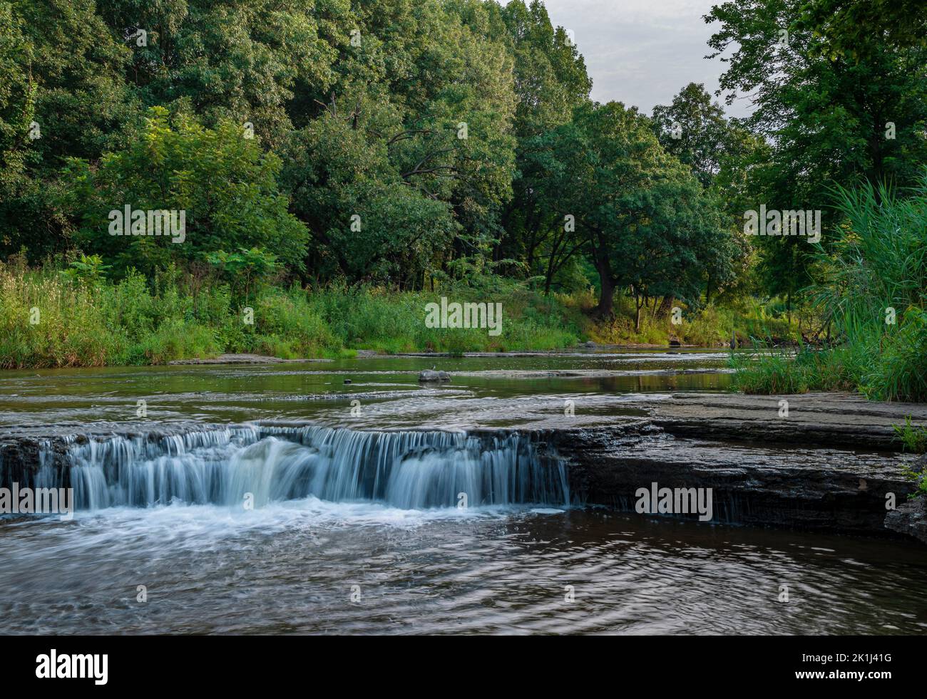 Wildlife summer small river flows hi-res stock photography and images ...