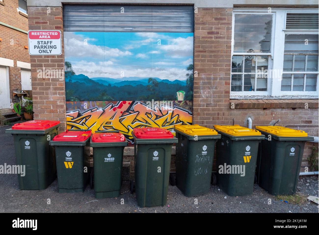 Painting of The Tweed Valley on a garage door with garbage bins in ...