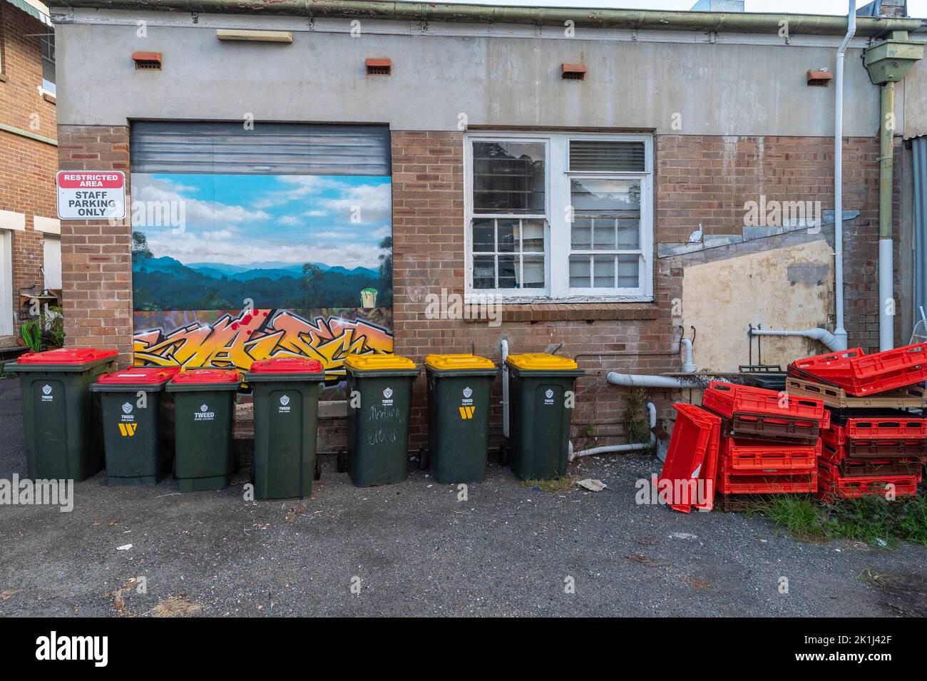 Painting of The Tweed Valley on a garage door with garbage bins in ...
